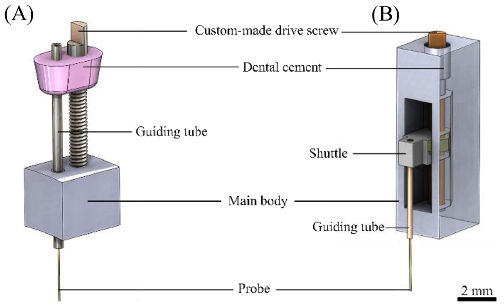 System for recording from multiple flexible polyimide neural probes in ...
