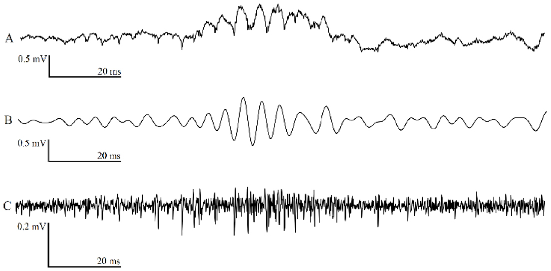 System for recording from multiple flexible polyimide neural probes in ...