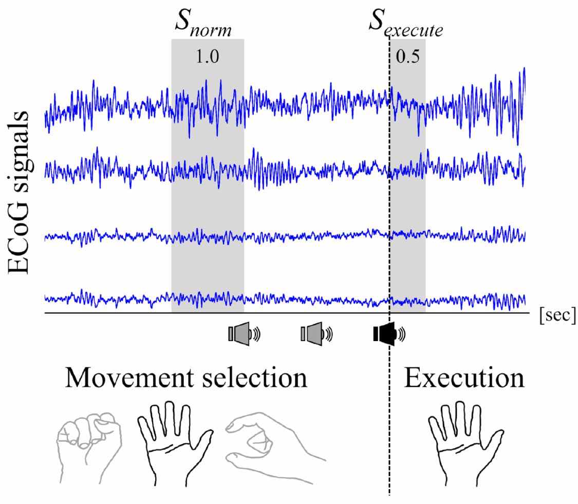 Neural decoding of electrocorticographic signals using dynamic mode ...