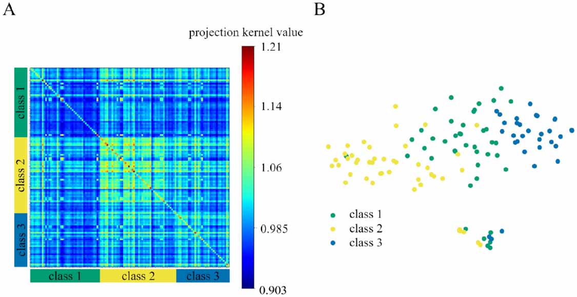 Neural decoding of electrocorticographic signals using dynamic mode ...