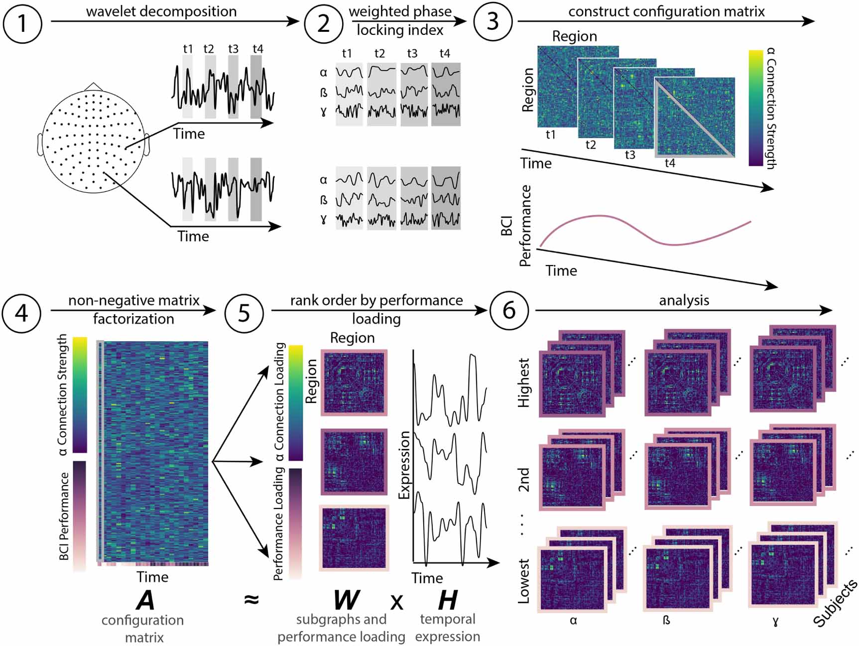 Learning in brain-computer interface control evidenced by joint ...