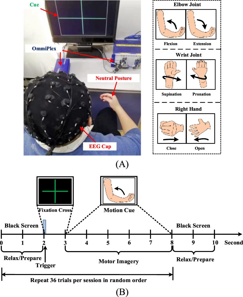 Decoding multiclass motor imagery EEG from the same upper limb by ...