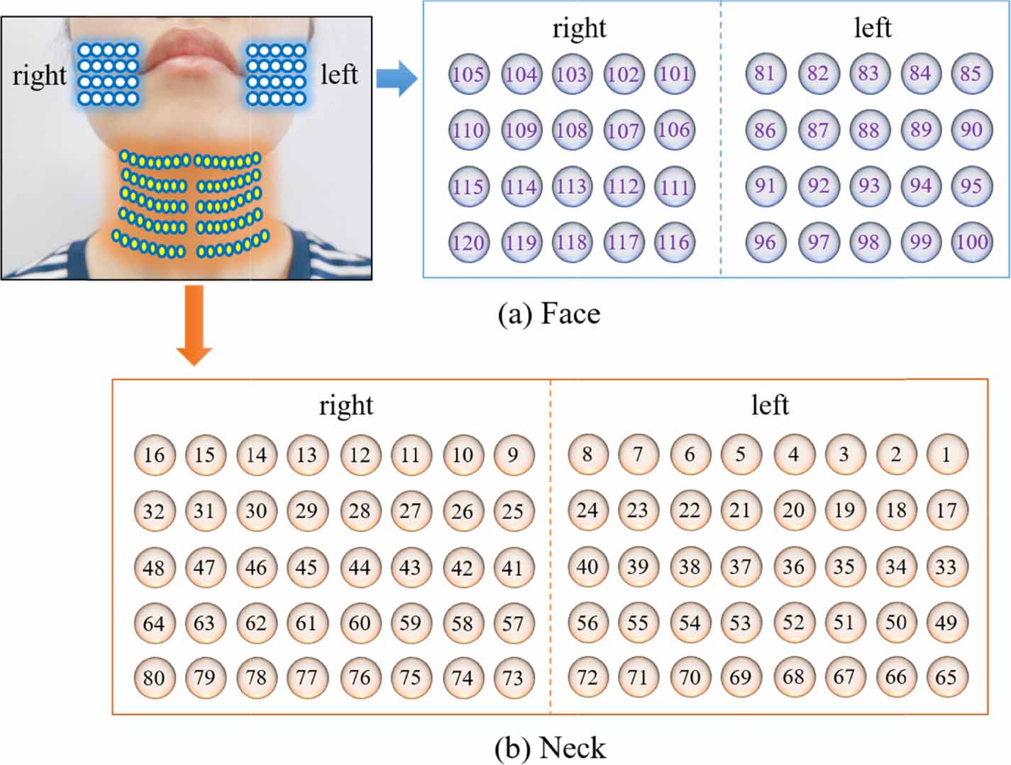 Towards optimizing electrode configurations for silent speech ...
