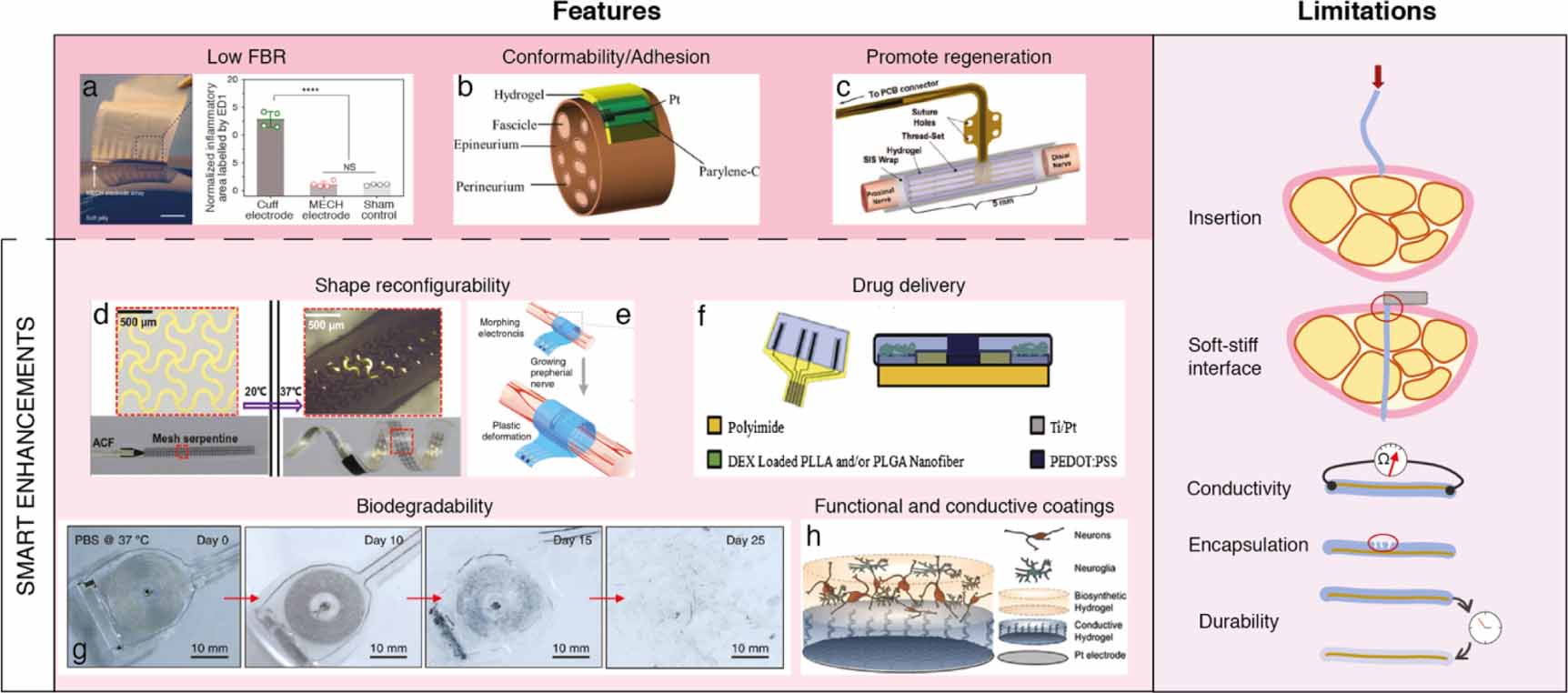 Compliant peripheral nerve interfaces - IOPscience