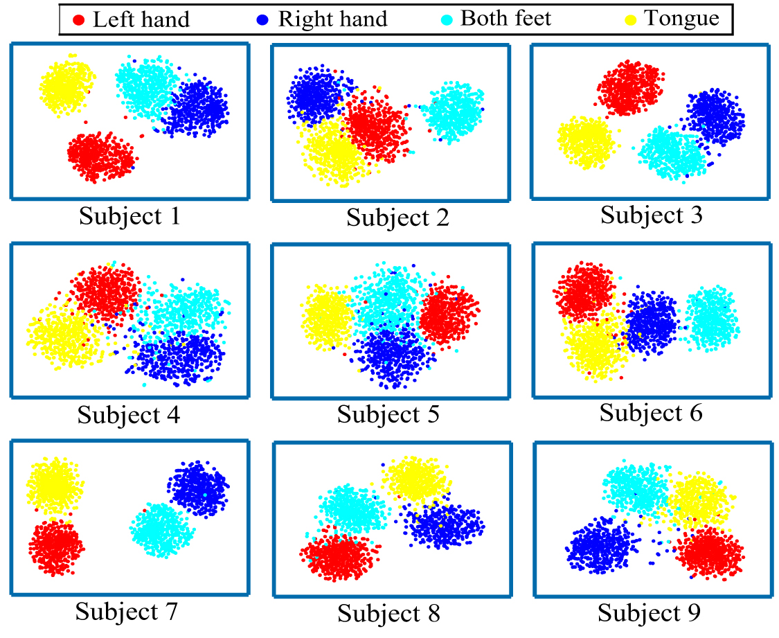 A novel motor imagery EEG decoding method based on feature separation ...