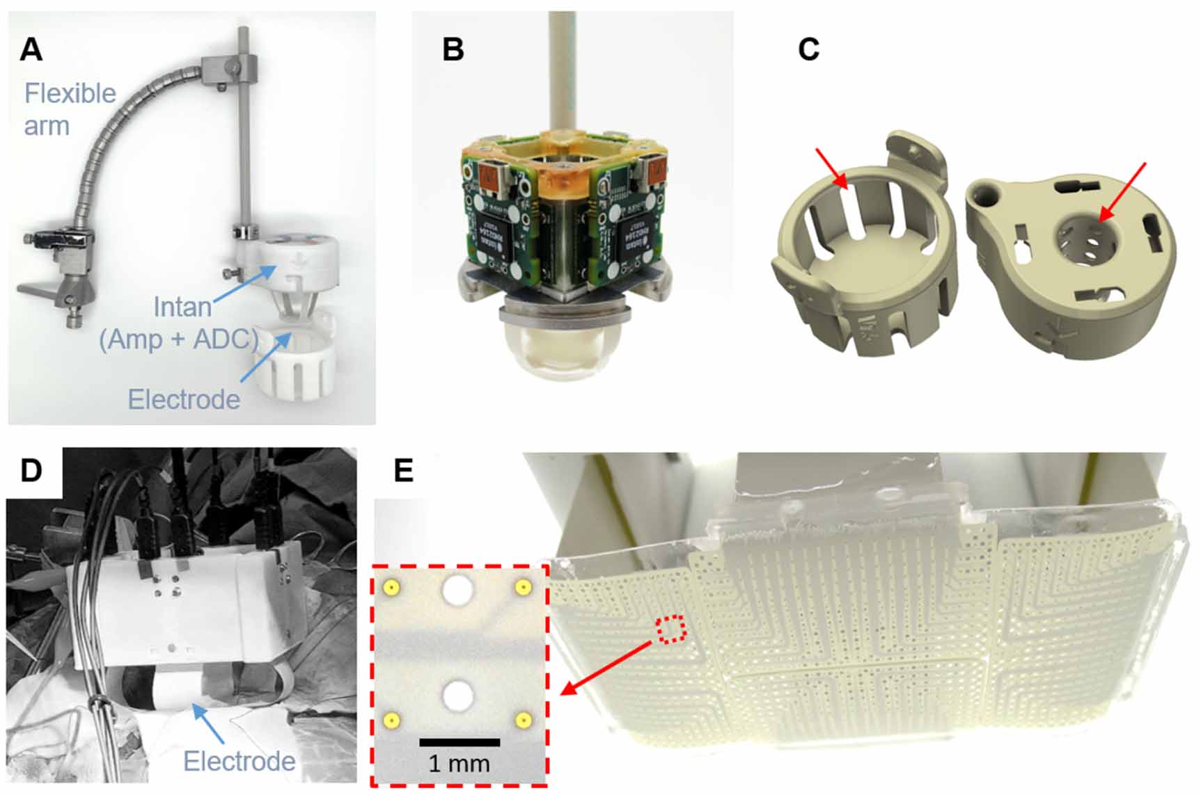 Flexible, high-resolution thin-film electrodes for human and animal ...
