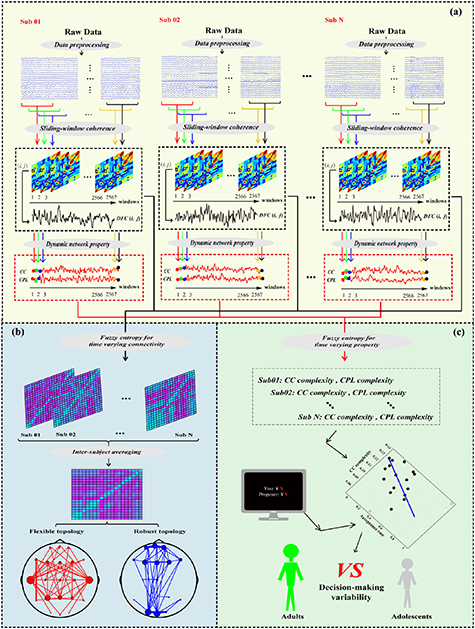 Brain variability in dynamic resting-state networks identified by fuzzy entropy: a scalp EEG ...