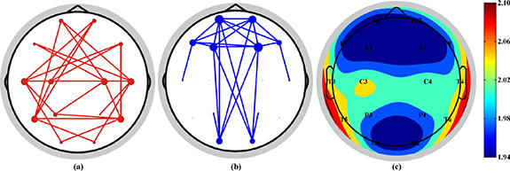 Brain variability in dynamic resting-state networks identified by fuzzy entropy: a scalp EEG ...