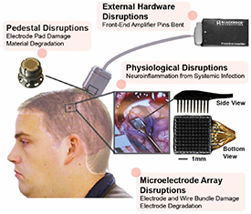 Long-term intracortical microelectrode array performance in a human: a ...