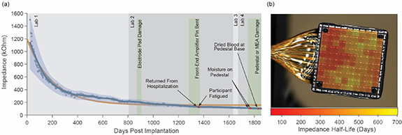 Long-term intracortical microelectrode array performance in a human: a ...