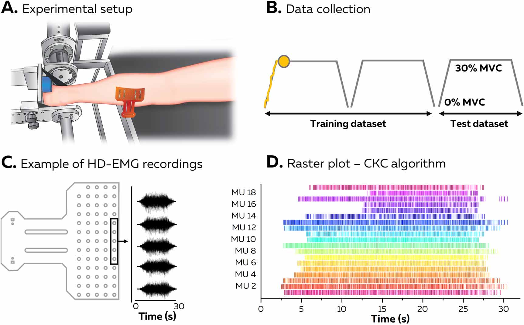 A convolutional neural network to identify motor units from high ...