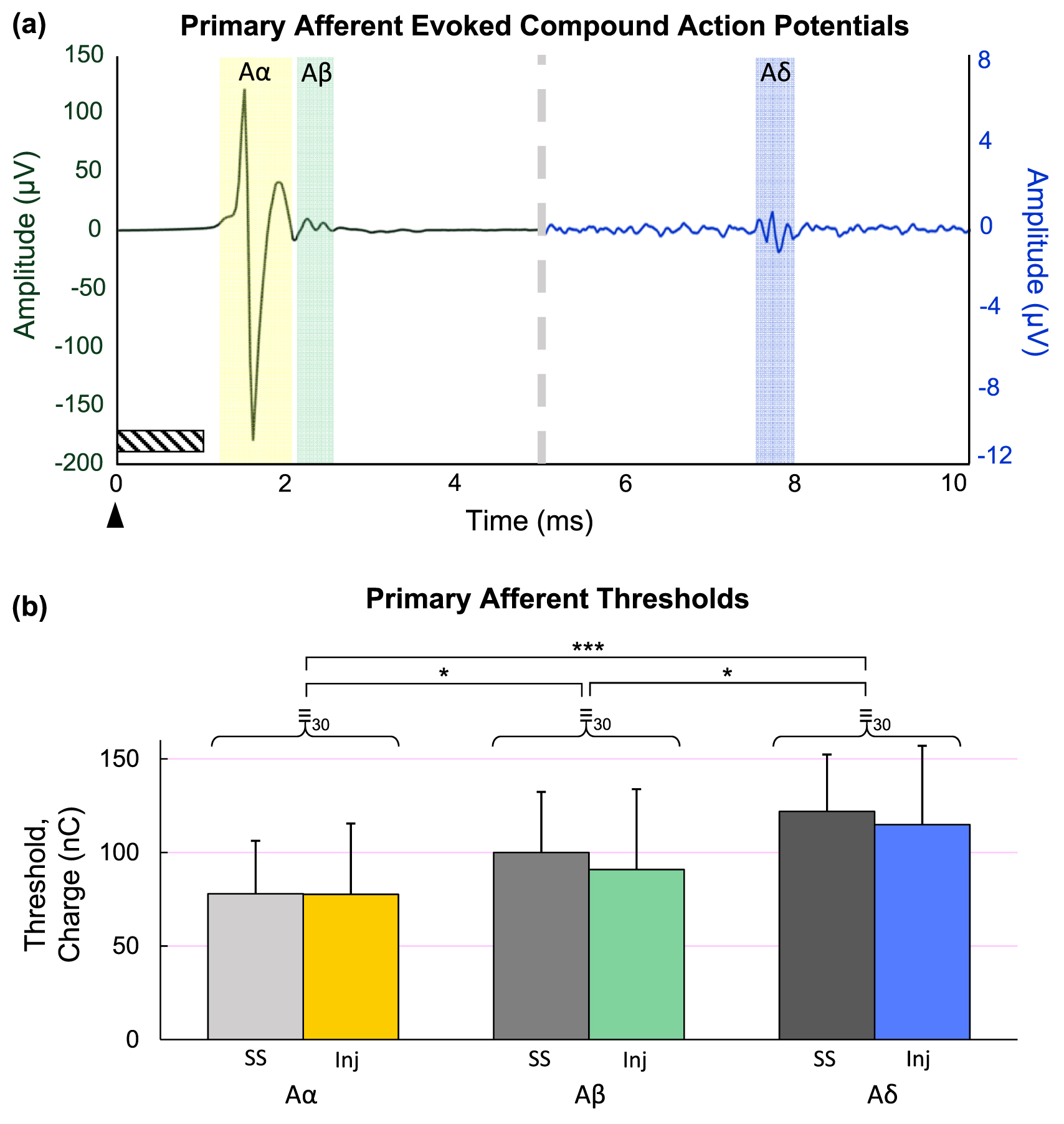 Stimulation of the dorsal root ganglion using an Injectrode® - IOPscience
