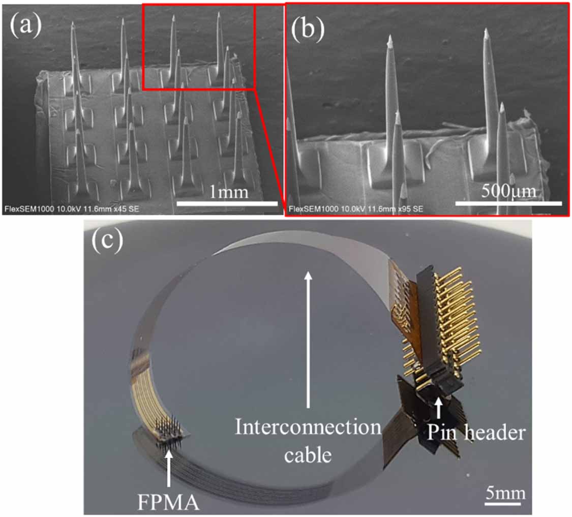 Long-term in-vivo recording performance of flexible penetrating ...