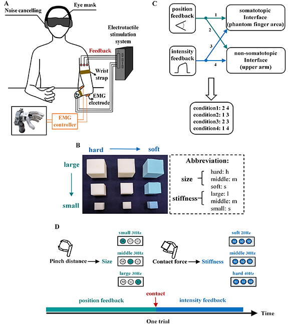 Towards optimizing the non-invasive sensory feedback interfaces in a ...