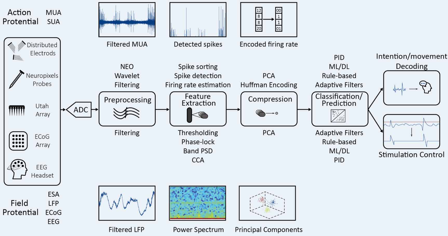 Algorithm and hardware considerations for real-time neural signal on ...