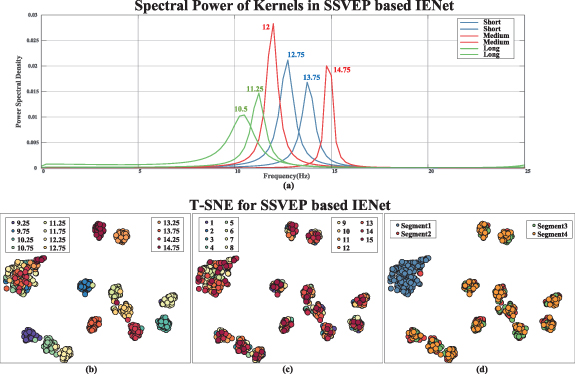 IENet: a robust convolutional neural network for EEG based brain-computer interfaces - IOPscience