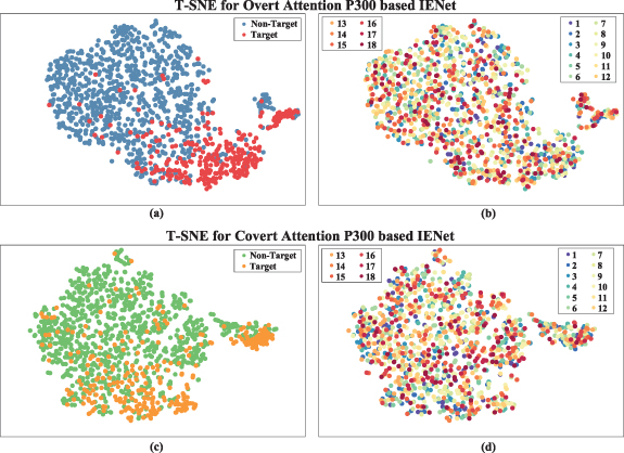 IENet: a robust convolutional neural network for EEG based brain-computer interfaces - IOPscience