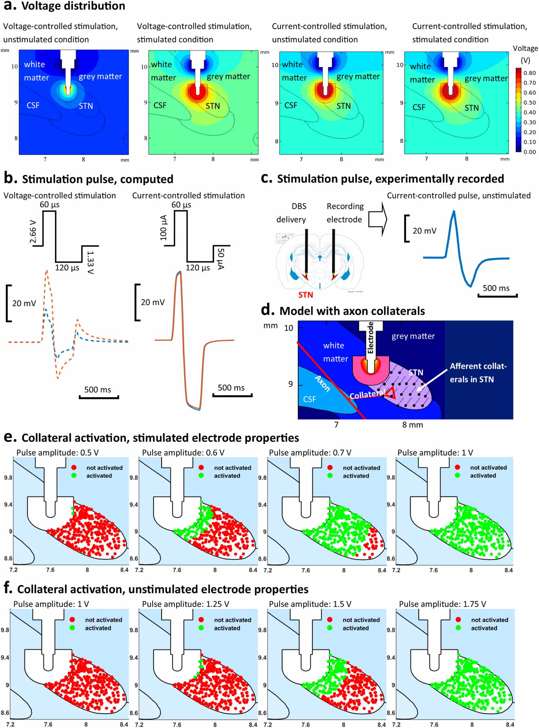 Stimulation-induced changes at the electrode–tissue interface and their ...