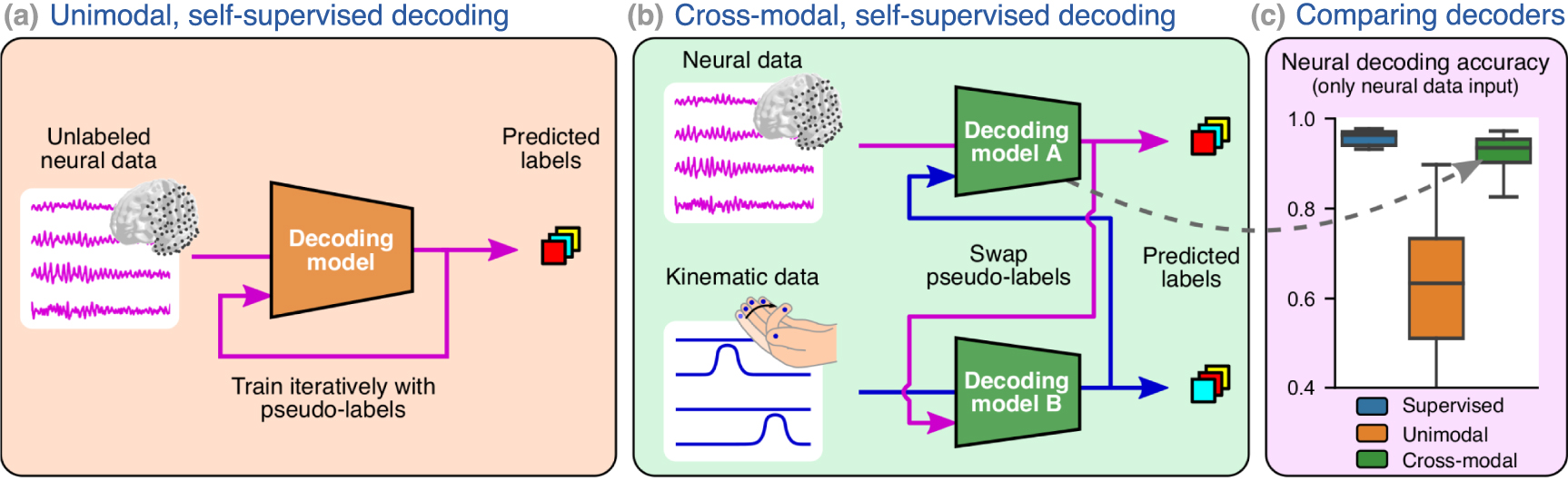 Learning neural decoders without labels using multiple data streams ...
