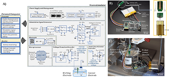 A portable neurostimulator circuit with anodic bias enhances ...