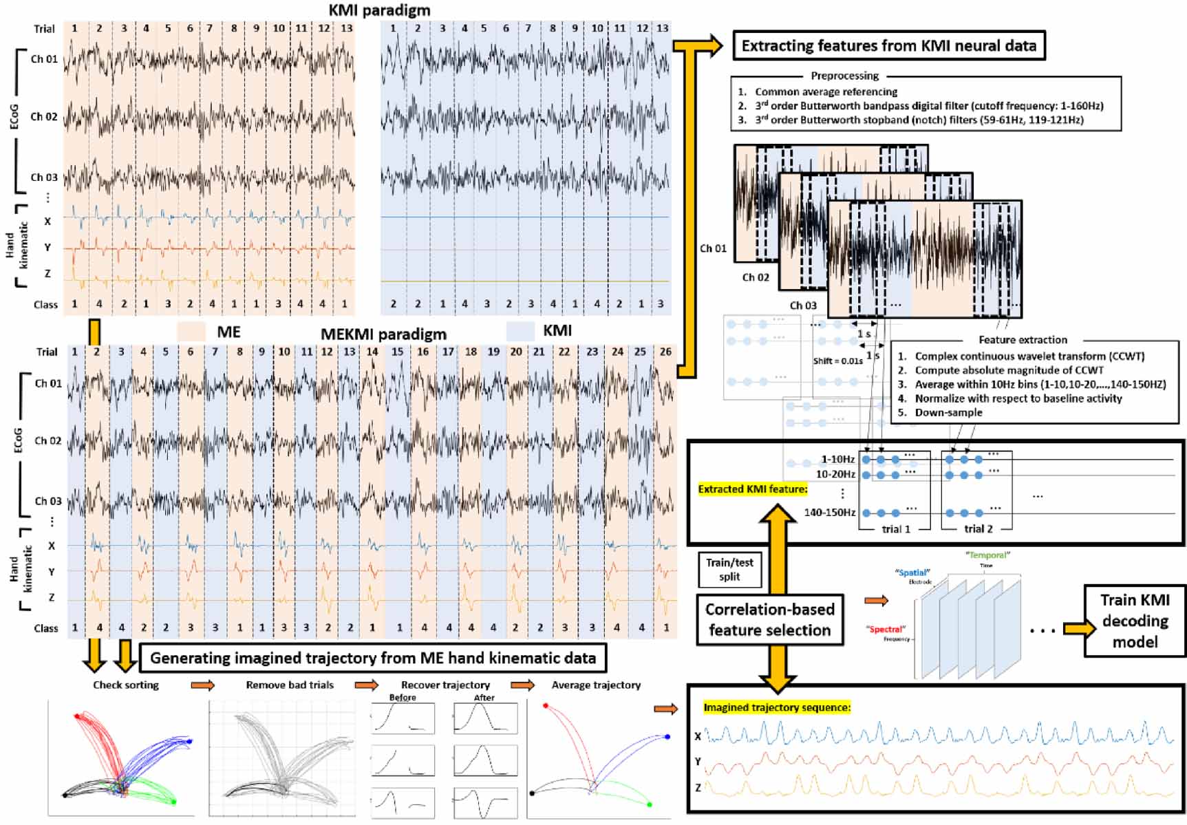 Decoding trajectories of imagined hand movement using electrocorticograms for brain–machine ...
