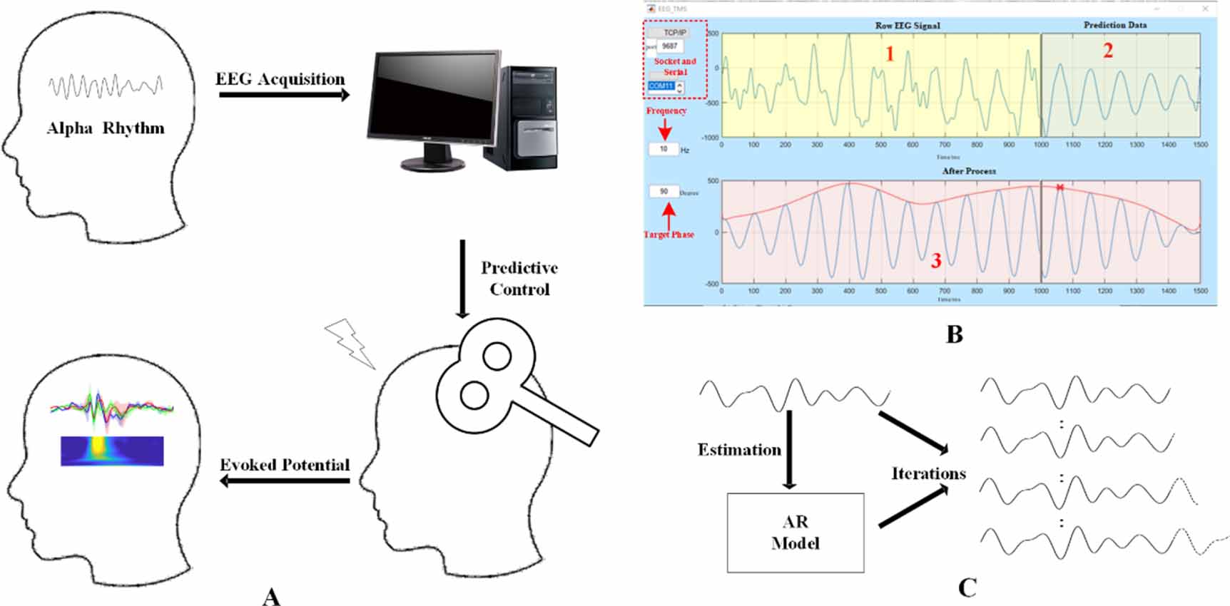 Closed-loop TMS-EEG reactivity with occipital alpha-phase synchronized ...