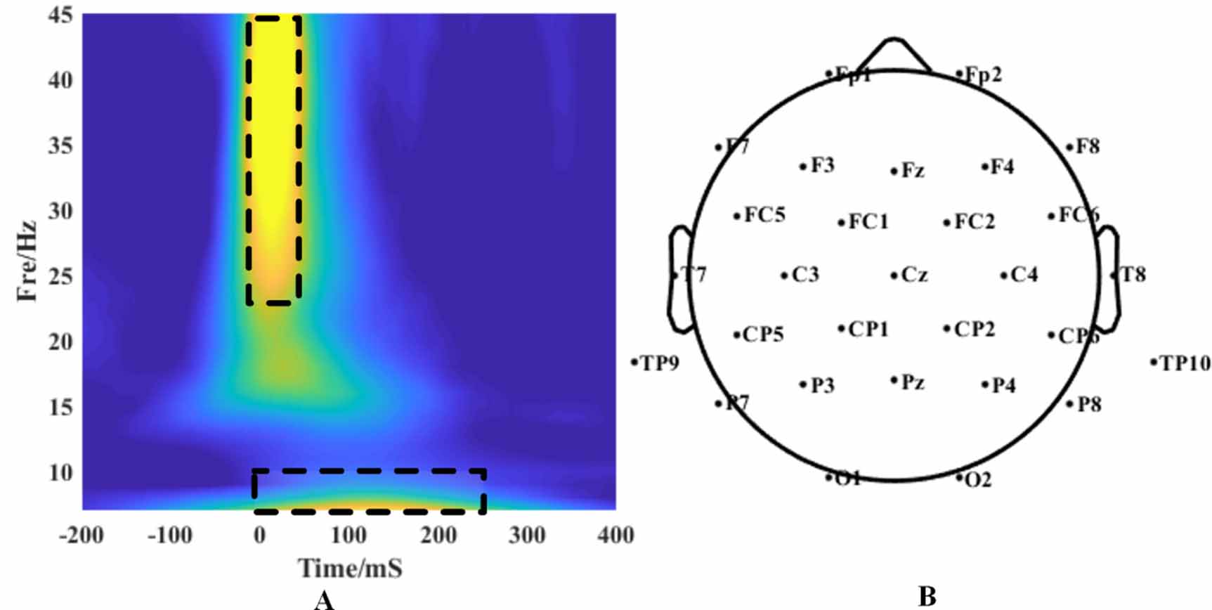 Closed-loop TMS-EEG reactivity with occipital alpha-phase synchronized ...