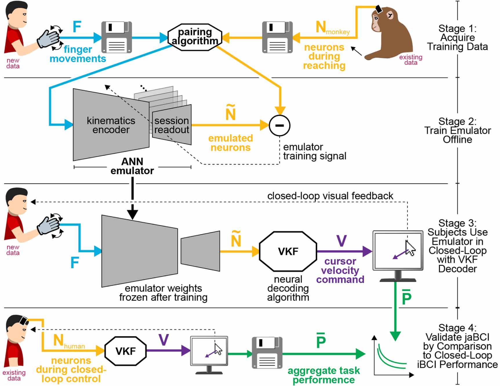 Validation of a non-invasive, real-time, human-in-the-loop model of intracortical brain-computer ...