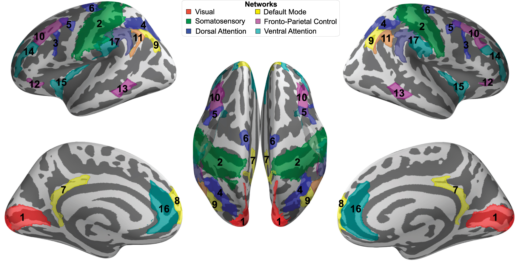 Resting-state EEG functional connectivity predicts post-traumatic ...