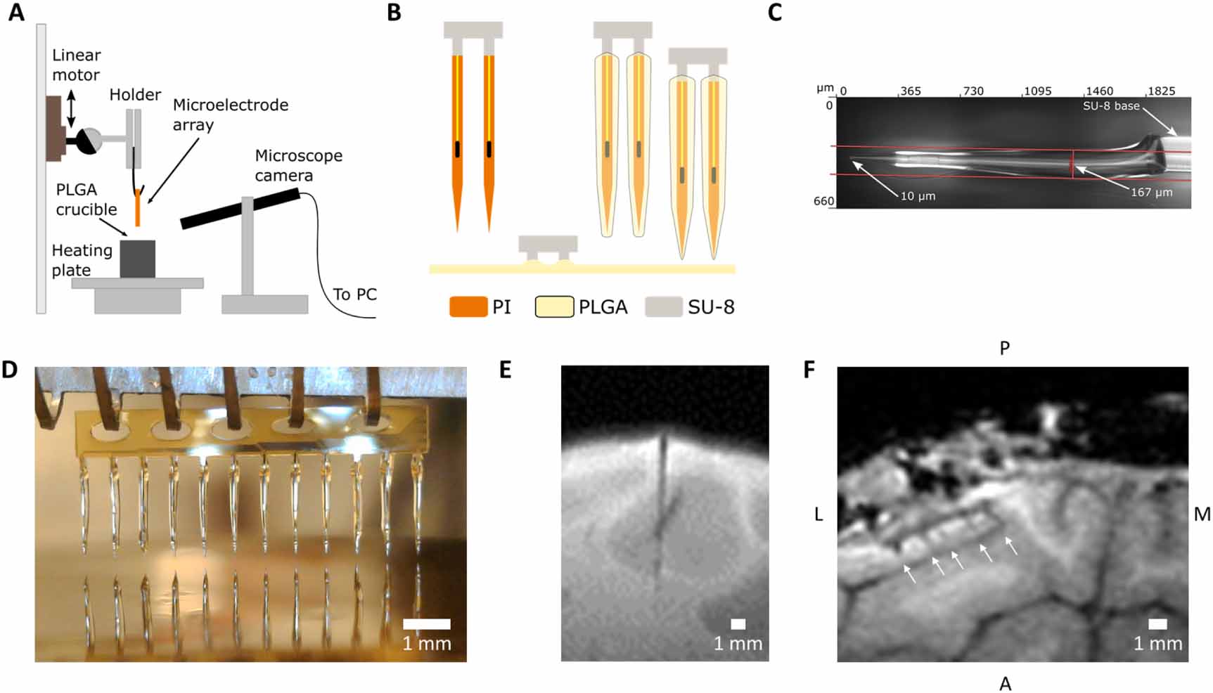 Thin flexible arrays for long-term multi-electrode recordings in ...