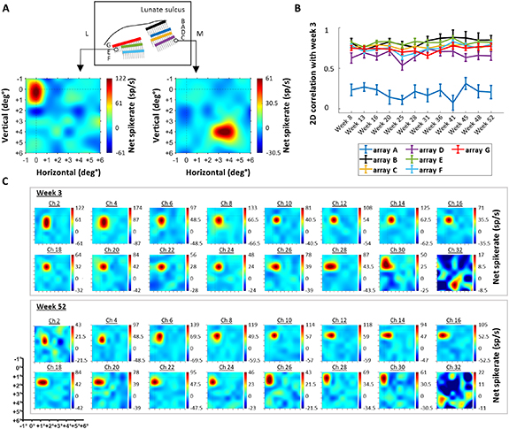 Thin flexible arrays for long-term multi-electrode recordings in ...