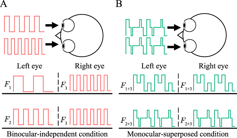 Independent bilateral-eye stimulation for gaze pattern recognition ...