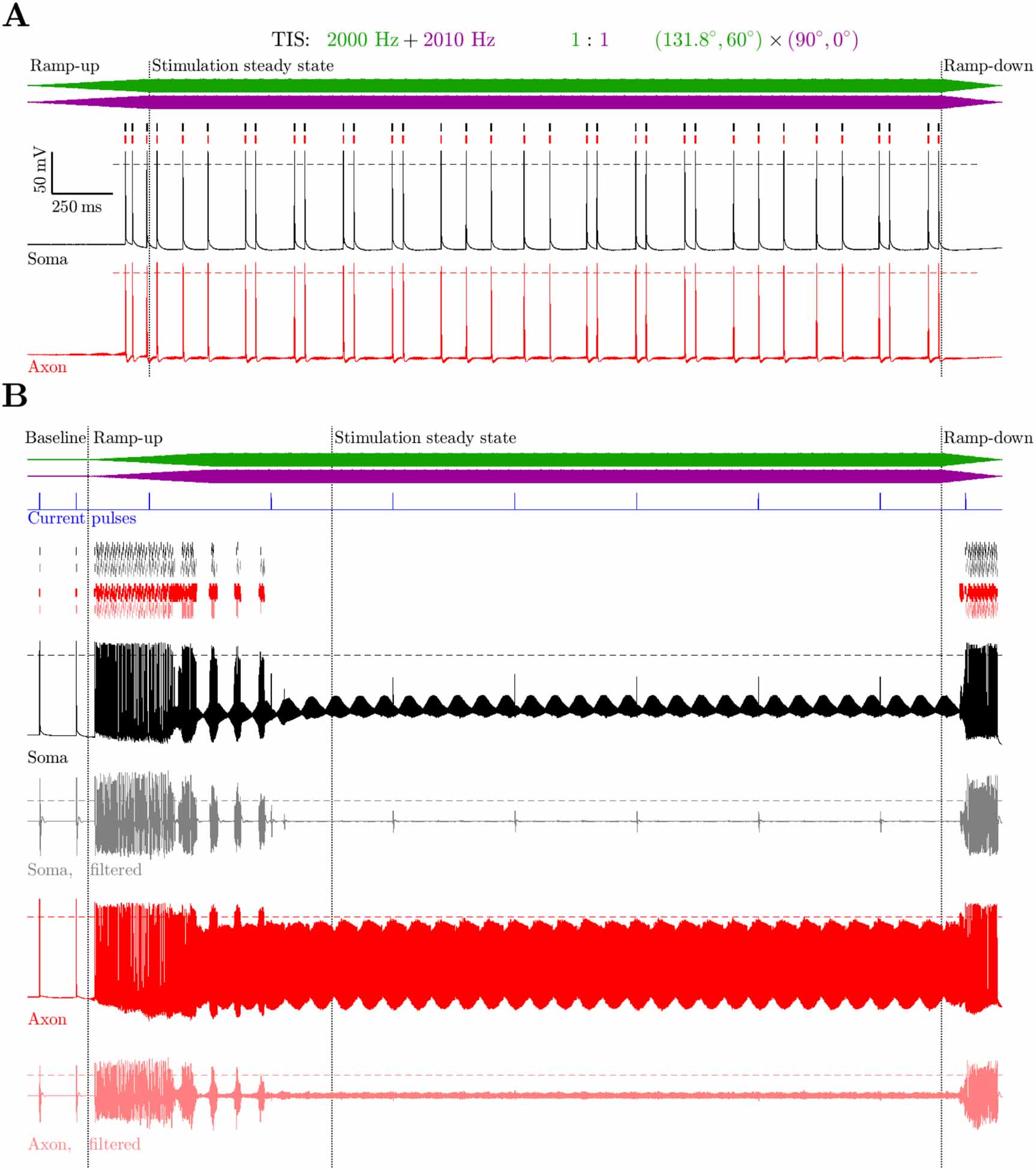 Responses of model cortical neurons to temporal interference ...