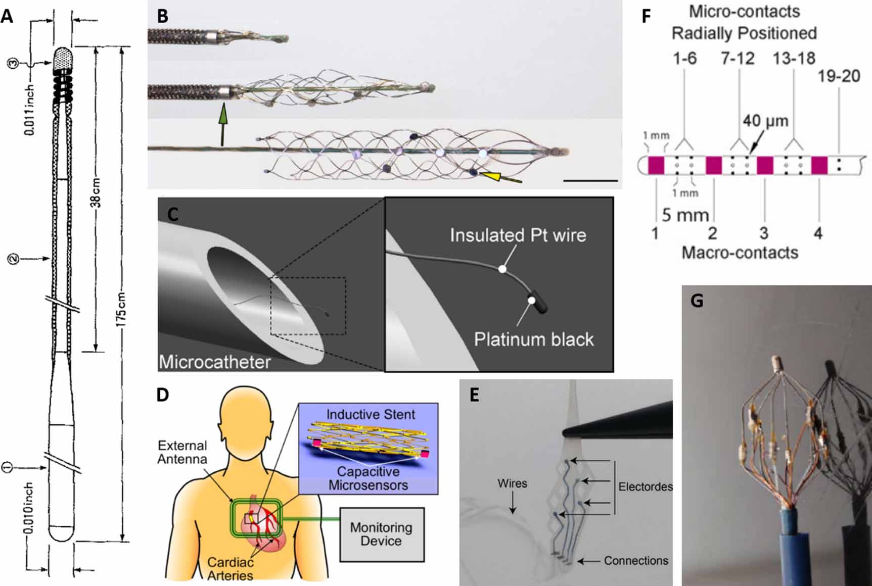 Making a case for endovascular approaches for neural recording and ...