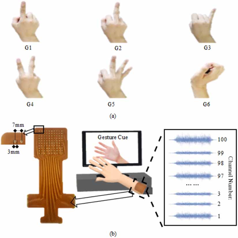 Multi-source domain generalization and adaptation toward cross-subject ...