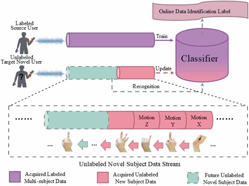 Multi-source domain generalization and adaptation toward cross-subject ...