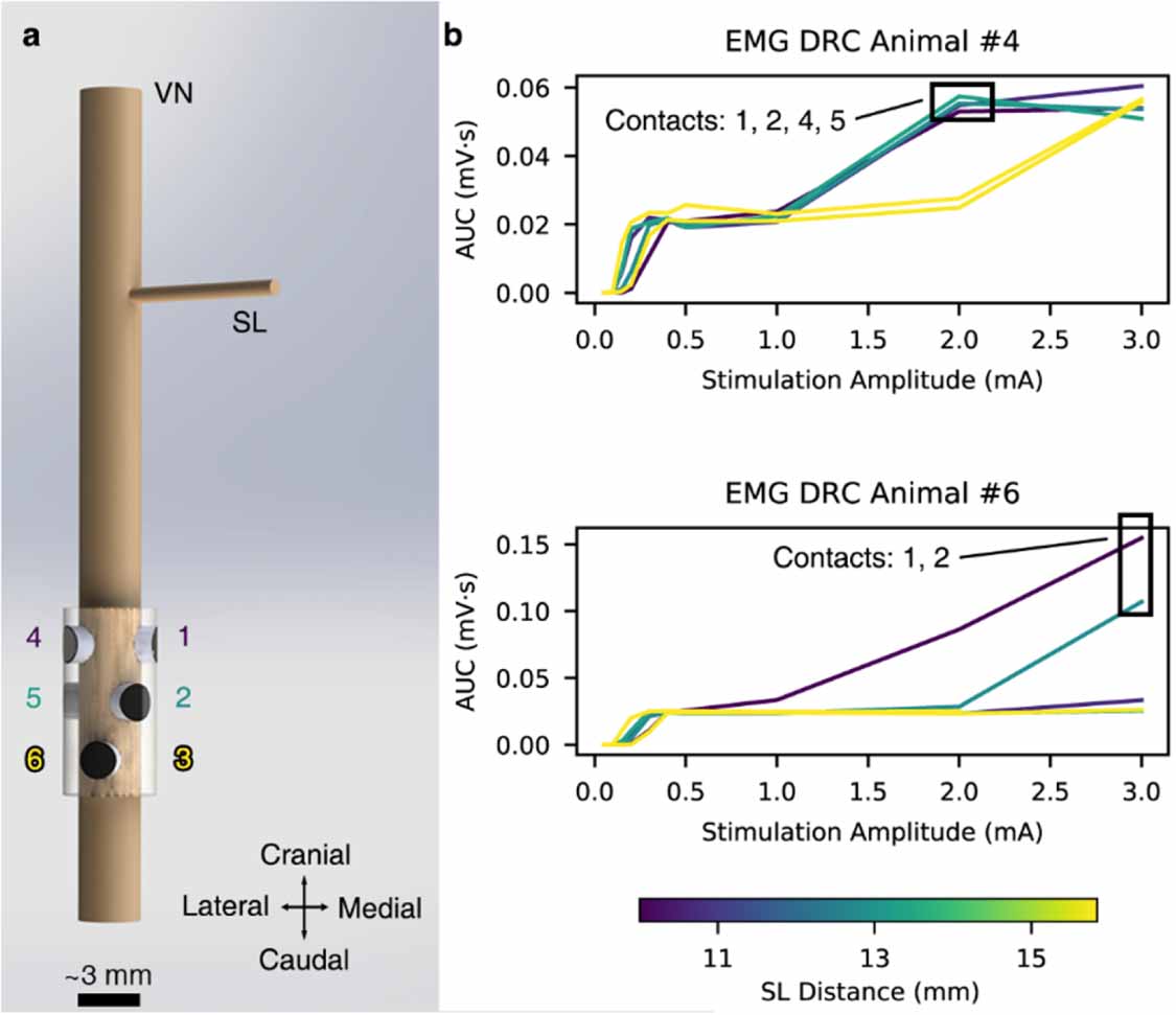 Spatially selective stimulation of the pig vagus nerve to modulate ...