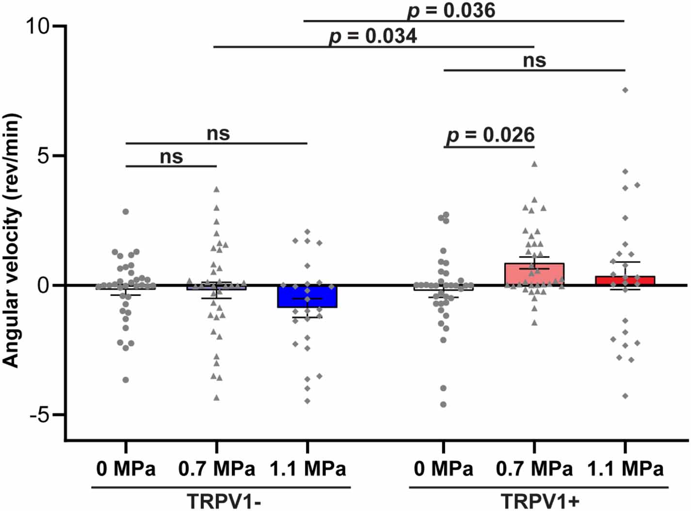 TRPV1-mediated sonogenetic neuromodulation of motor cortex in freely ...