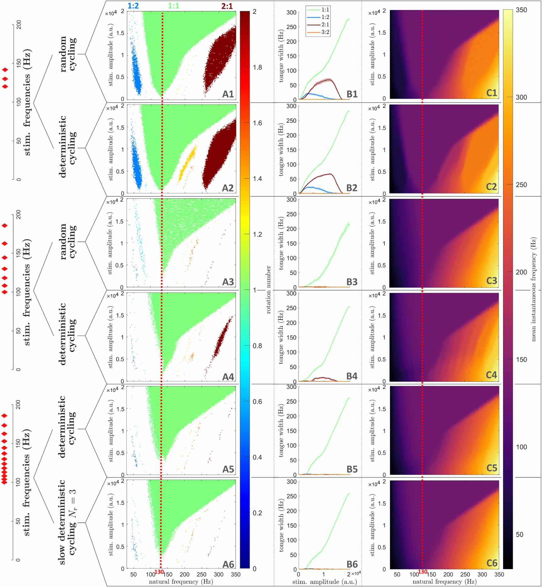 How to entrain a selected neuronal rhythm but not others: open-loop ...