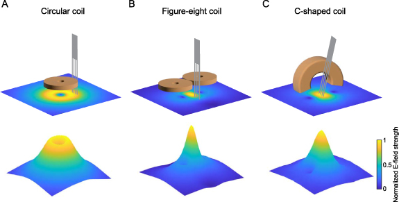 A C-shaped miniaturized coil for transcranial magnetic stimulation in ...