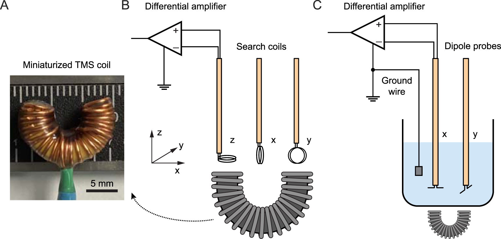 A C-shaped miniaturized coil for transcranial magnetic stimulation in ...