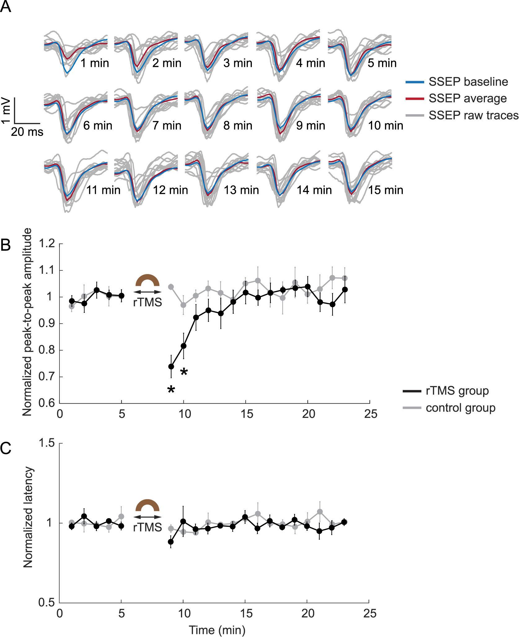 A C-shaped miniaturized coil for transcranial magnetic stimulation in ...
