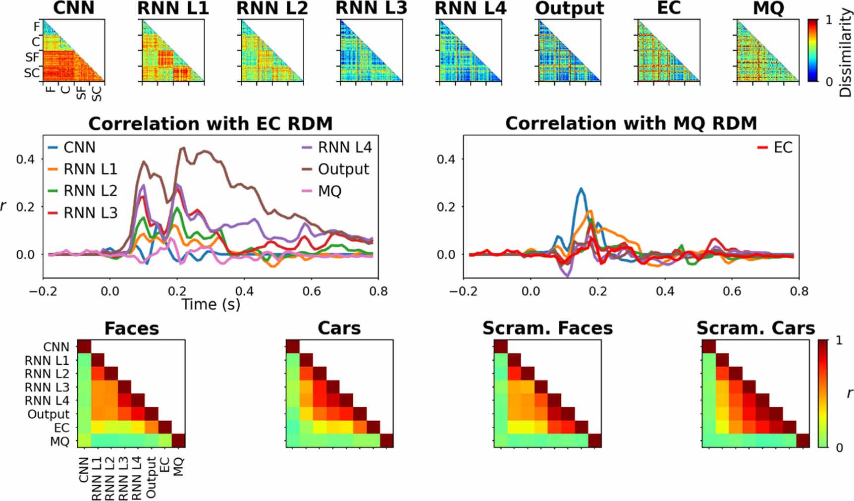 Neural correlates of face perception modeled with a convolutional ...