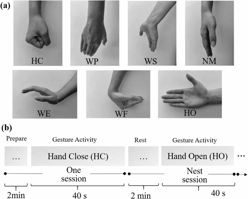 A fuzzy granular logistic regression algorithm for sEMG-based cross ...