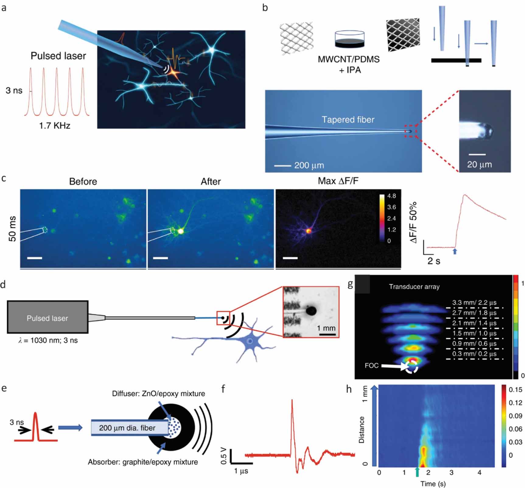 Physical mechanisms of emerging neuromodulation modalities - IOPscience