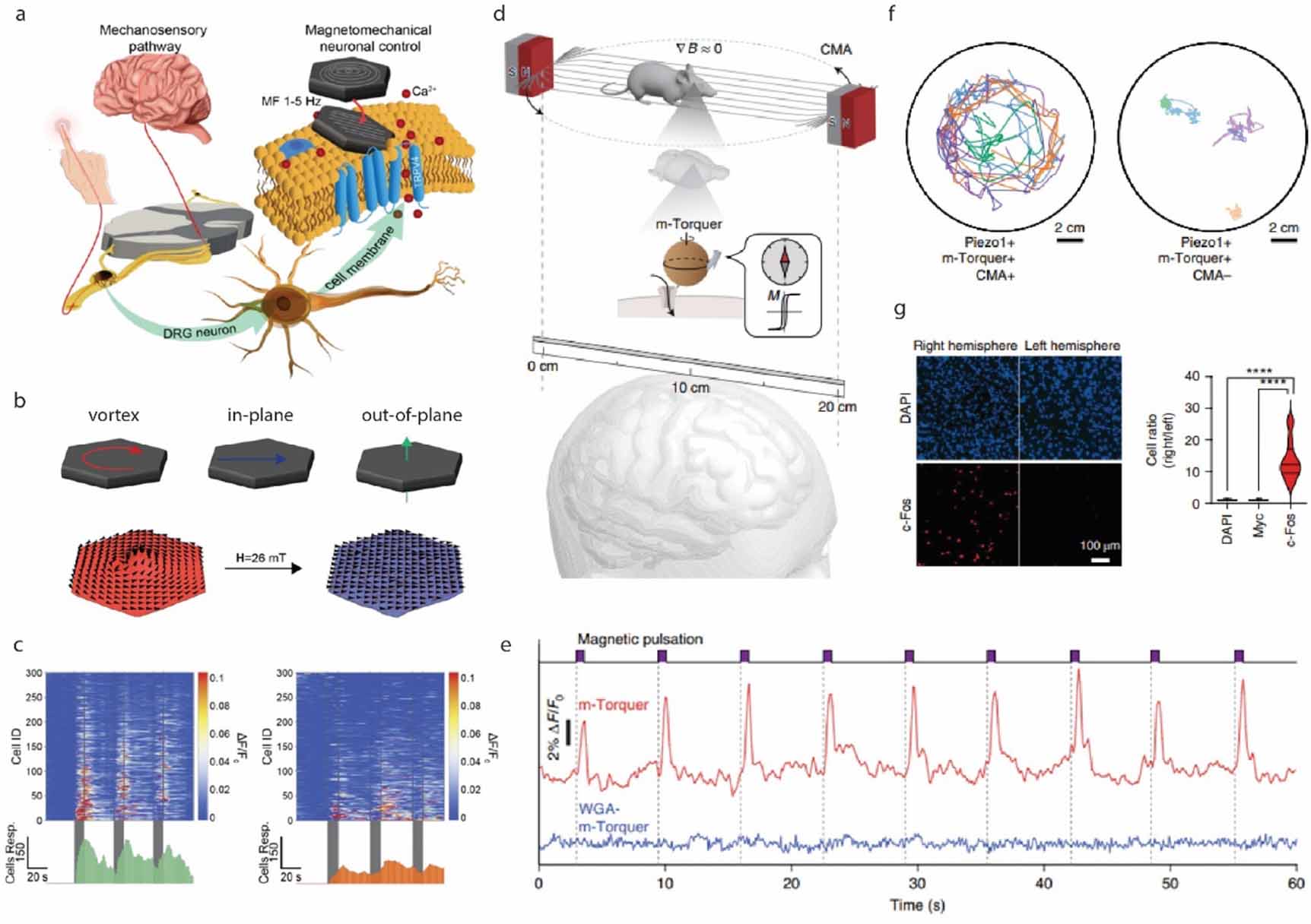 Physical mechanisms of emerging neuromodulation modalities - IOPscience