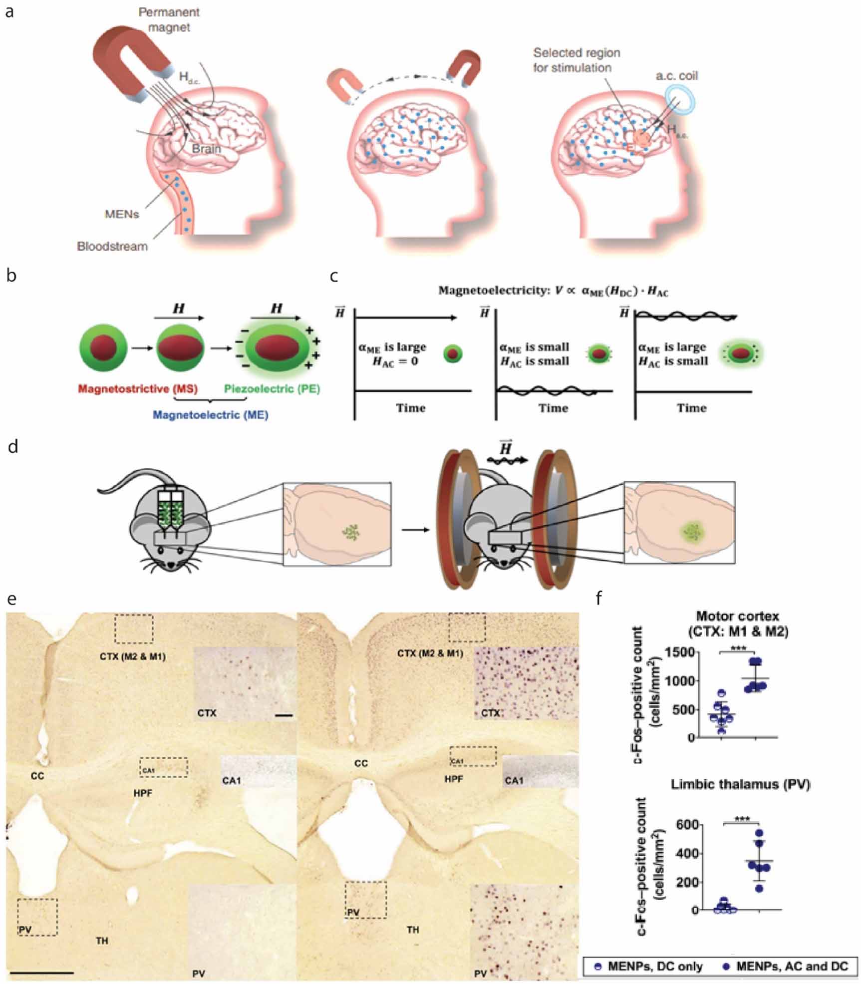 Physical mechanisms of emerging neuromodulation modalities - IOPscience