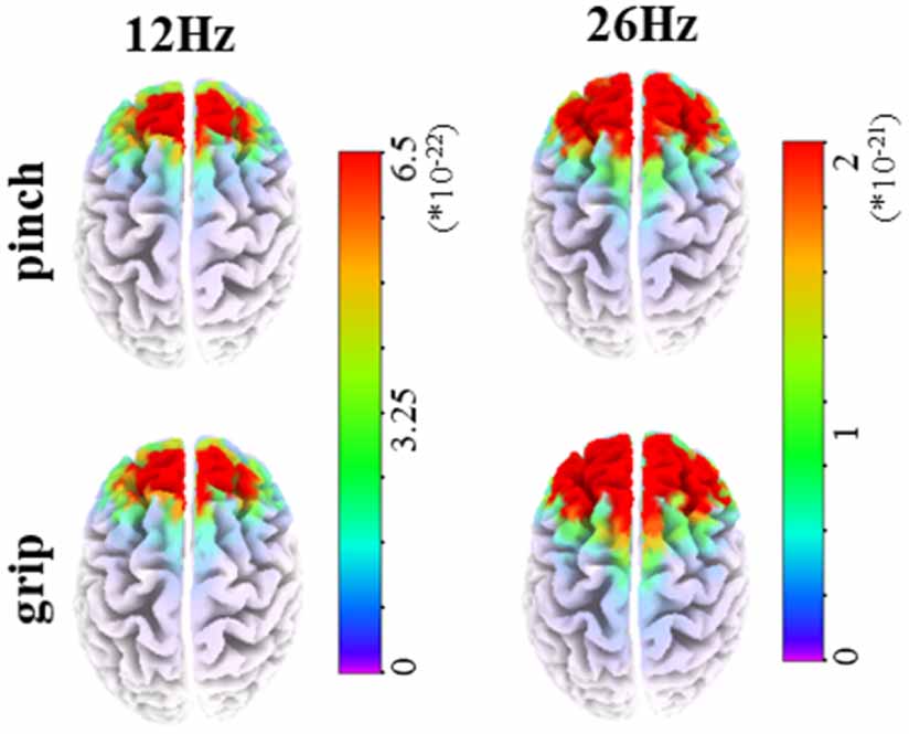 Enhancement of EEG–EMG coupling detection using corticomuscular ...