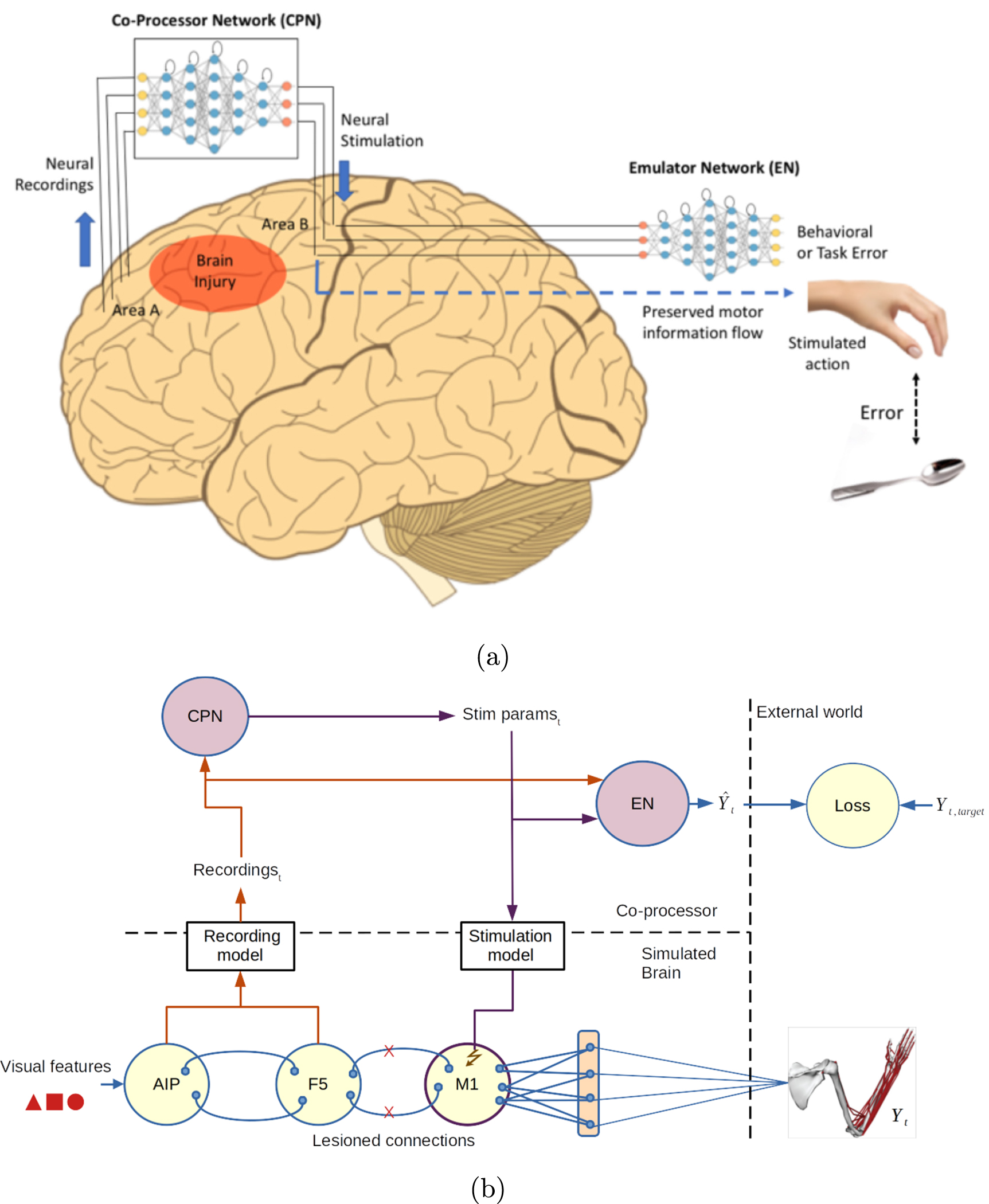 Neural co-processors for restoring brain function: results from a ...