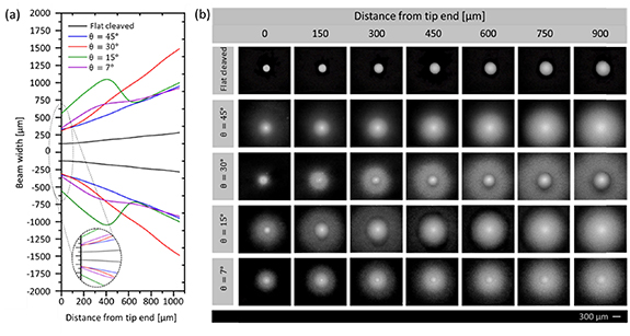 Fiber-based optrode with microstructured fiber tips for controlled ...